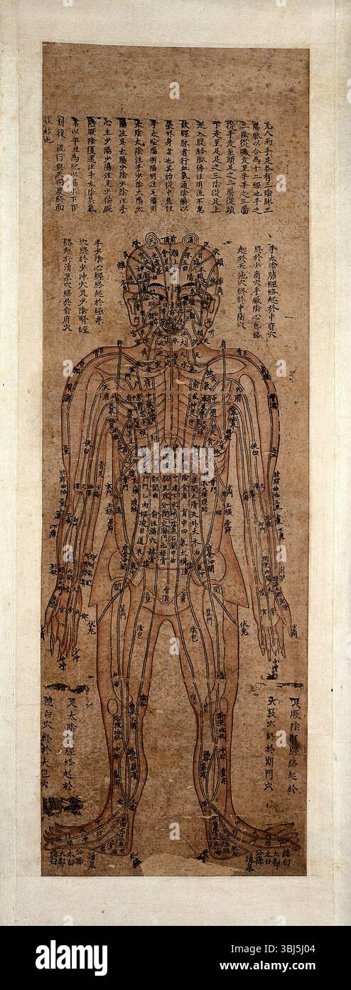 Human body showing acupuncture points; anterior view, (1800-1850 Stock ...