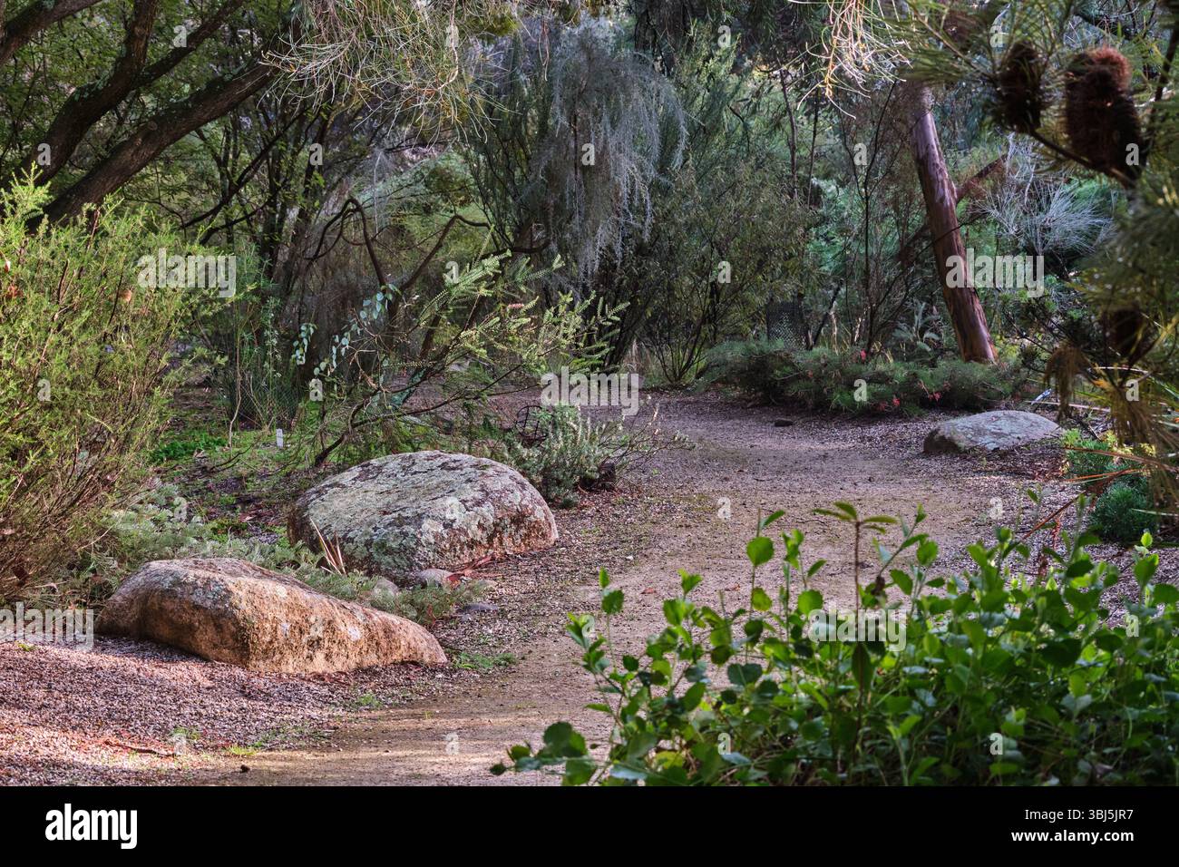 Maranoa Gardens Path Stock Photo - Alamy