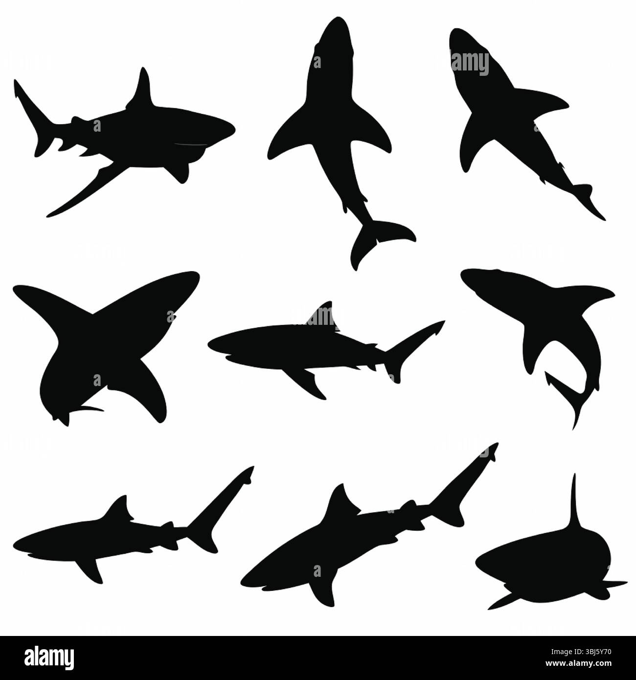 sharks vector set | Shark Silhouette Vector Set | Marine Life ...