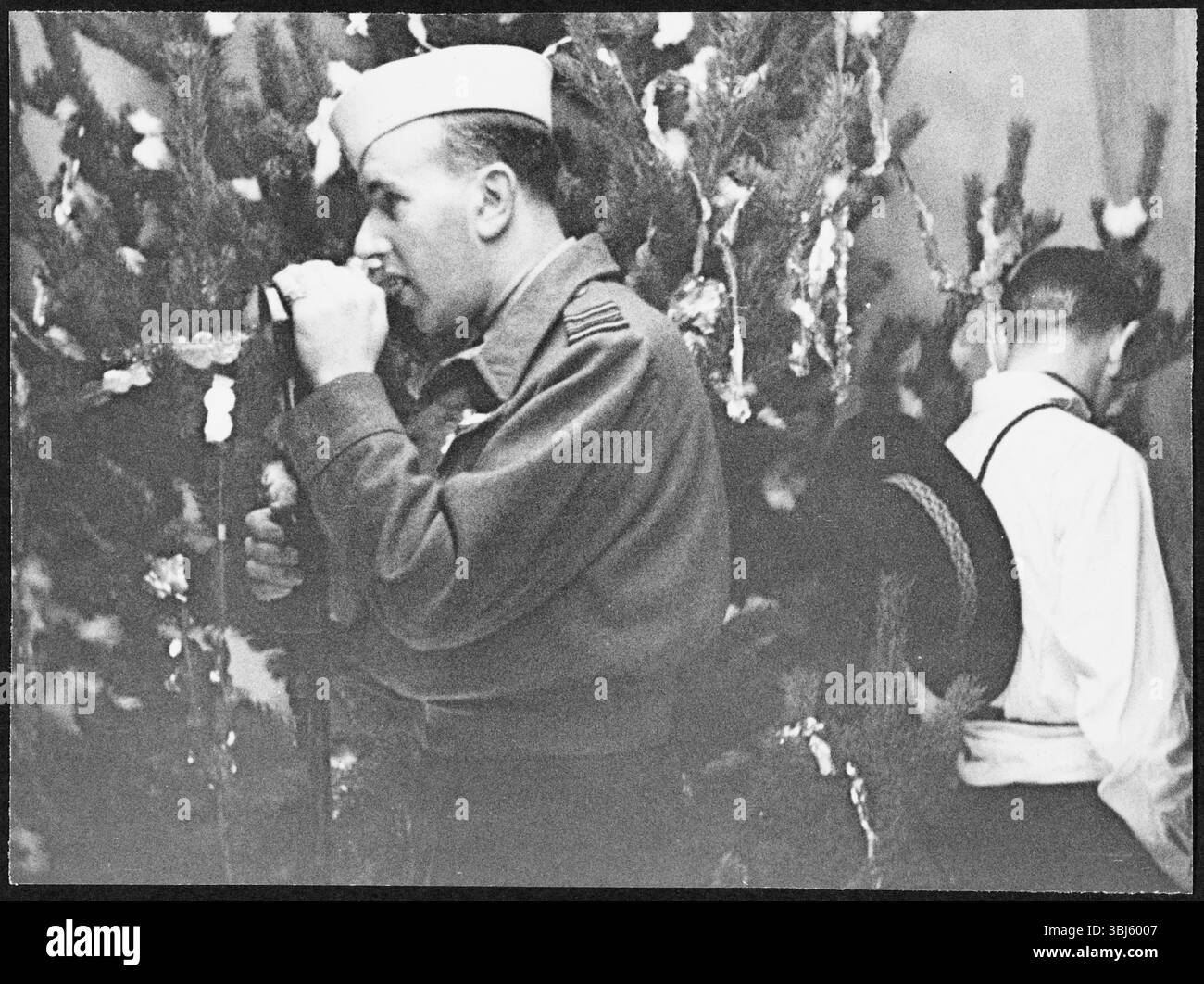 1940s british army tree Black and White Stock Photos & Images - Alamy
