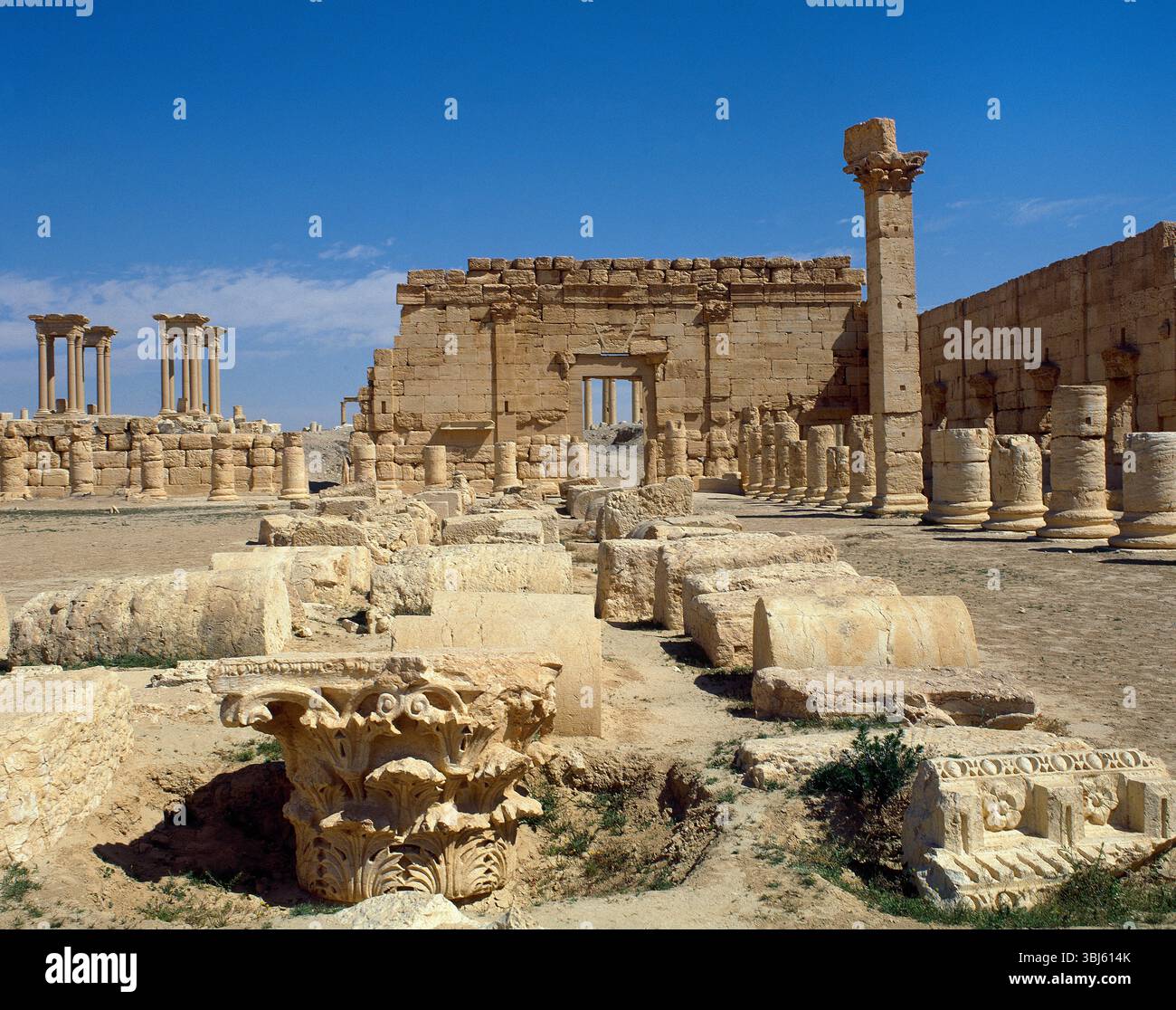 Ruins, Palmyra (Oasis Tadmor), Syria, 2001. Ancient site photographed ...