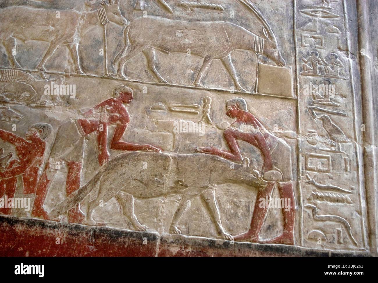 Polychrome relief depicting the capture of a hyena, Mastaba of Mereruka ...