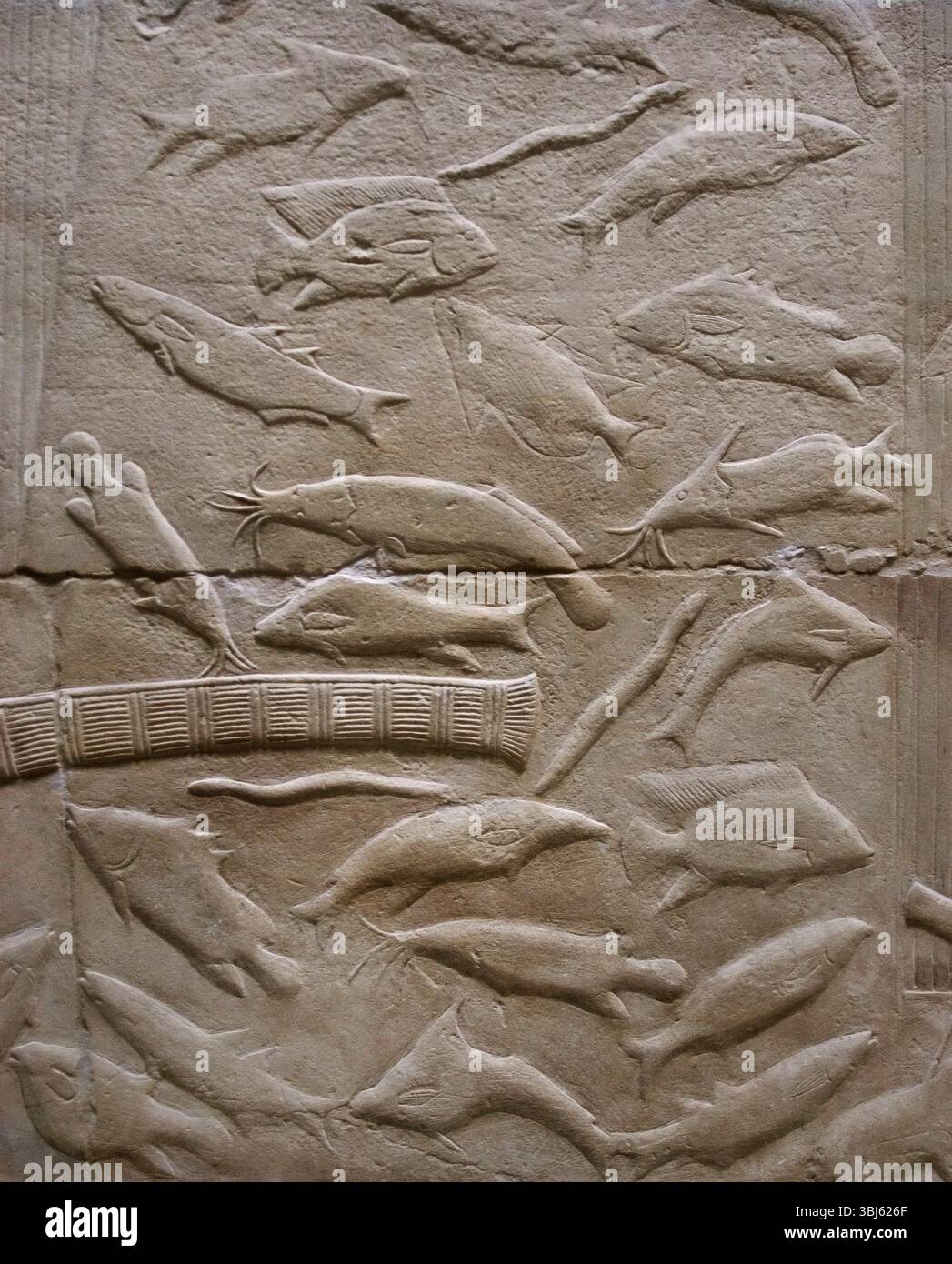 Fish relief, Mastaba of Kagemni, Saqqara, Egypt, Old Kingdom, 6th ...