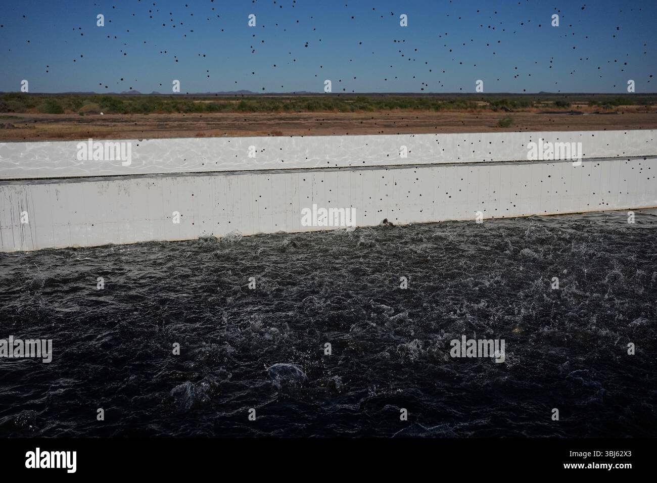 Fish food flies into a pond Saturday, April 19, 2025, at a Mainstream ...