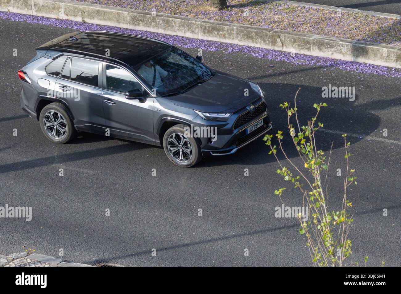 Gray toyota rav4 plug in hybrid driving on an asphalt road with fallen ...