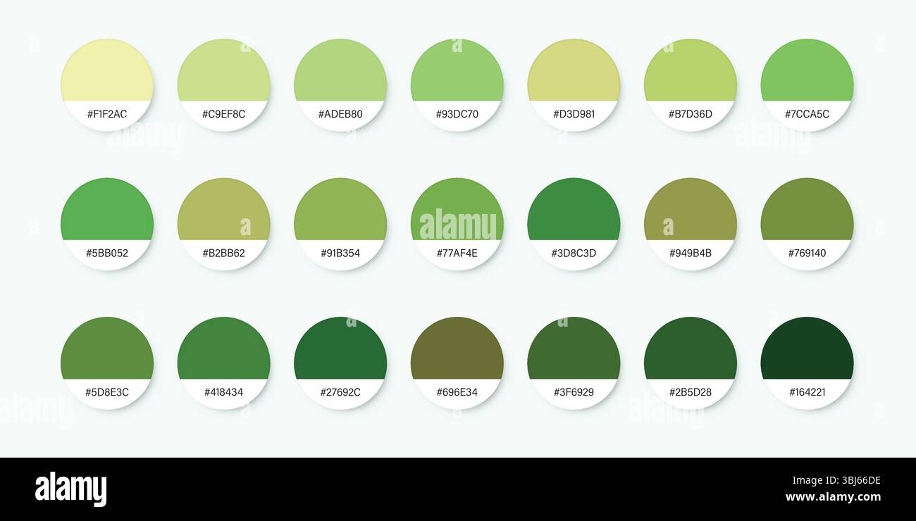 Green avocado colour palette icon in flat style. Catalog samples vector ...