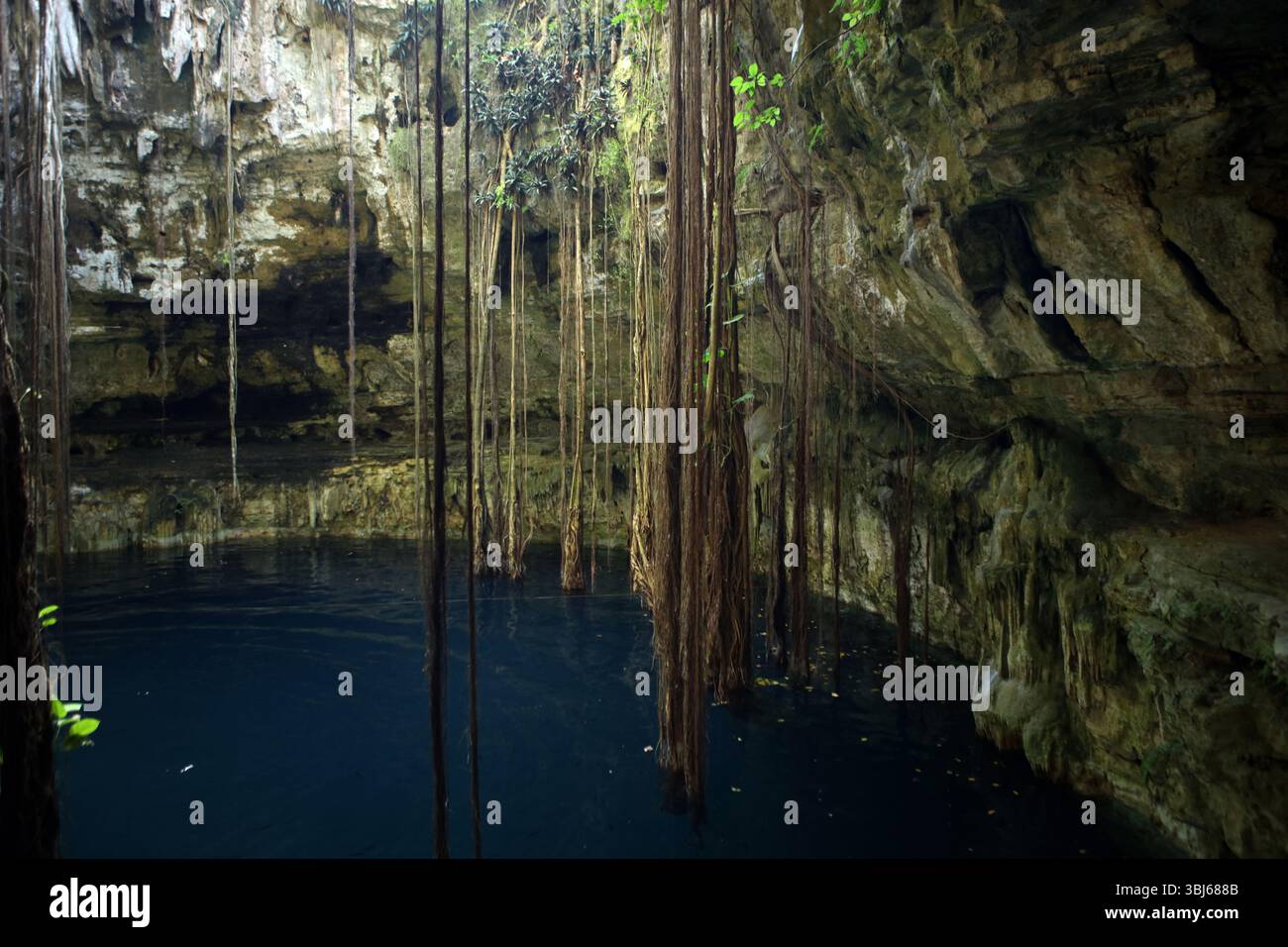Cenote Zaci in the city of Valladolid, Yucatan, Mexico Stock Photo - Alamy