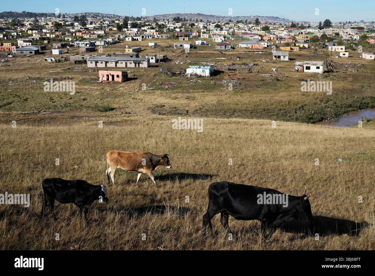 Flood-damaged housing in Mthatha, South Africa, Friday, June 13, 2025 ...
