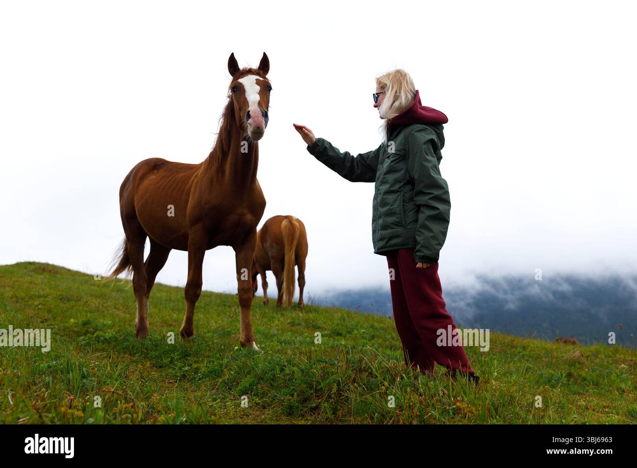 This image captures a young woman gently reaching out to a chestnut ...