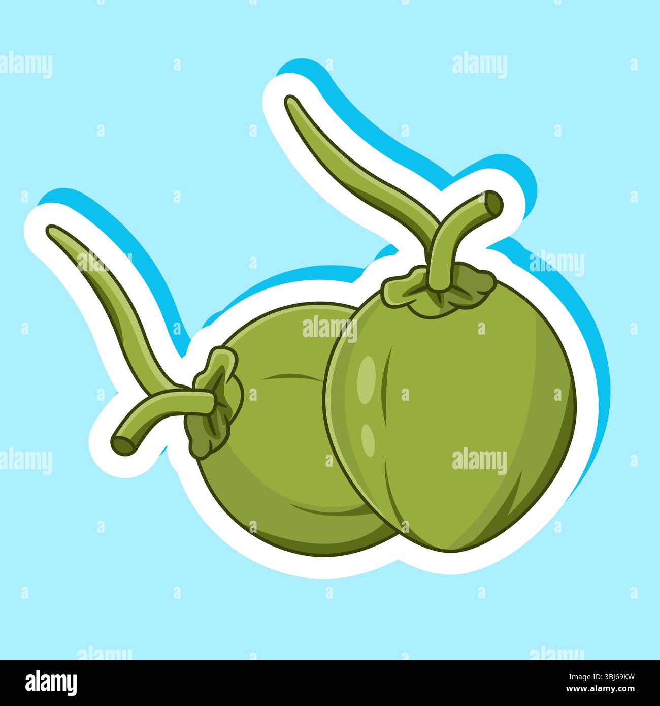 Sticker of green Young Coconuts Vector Illustration Cartoon Design ...