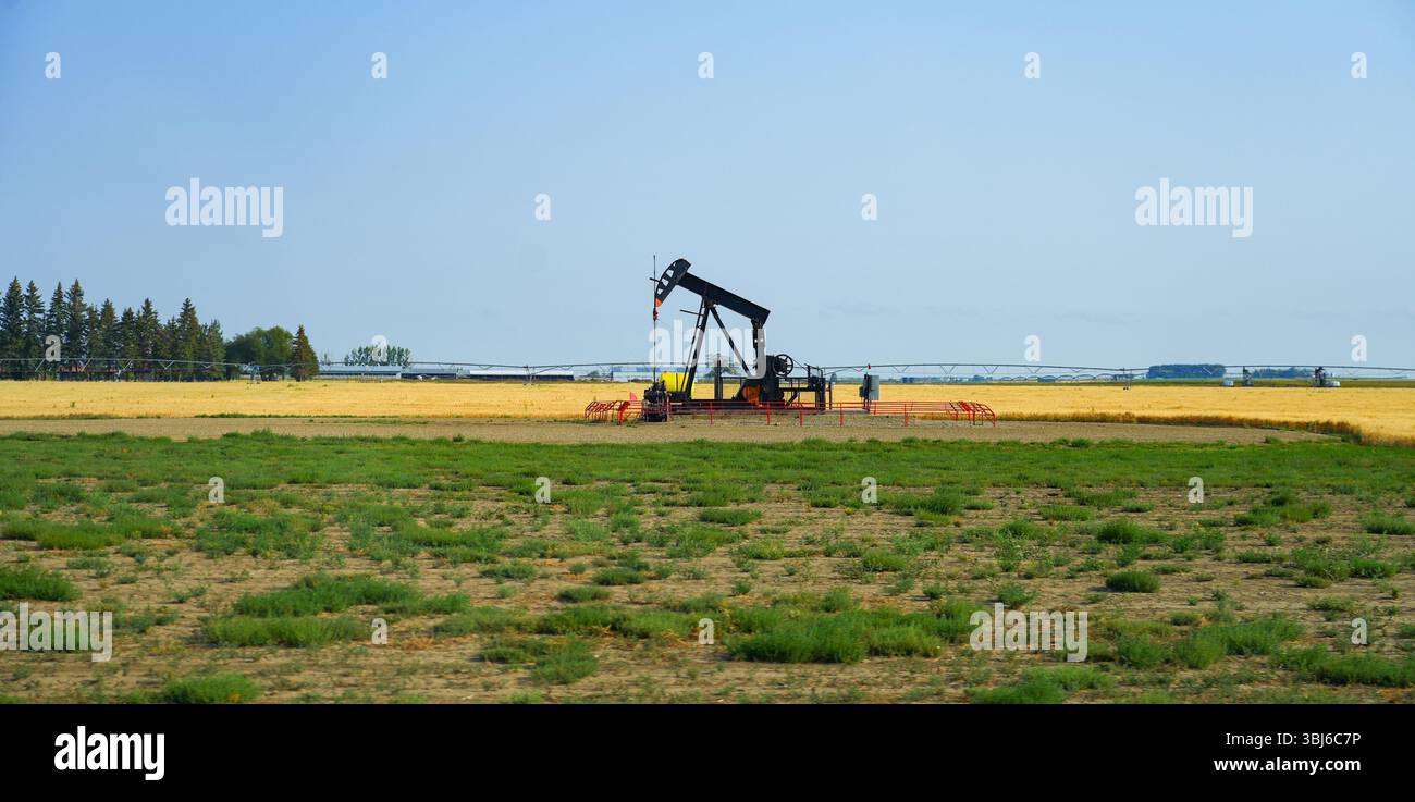 Oil pump in the Canadian prairie of Alberta near Drumheller - Fossil ...