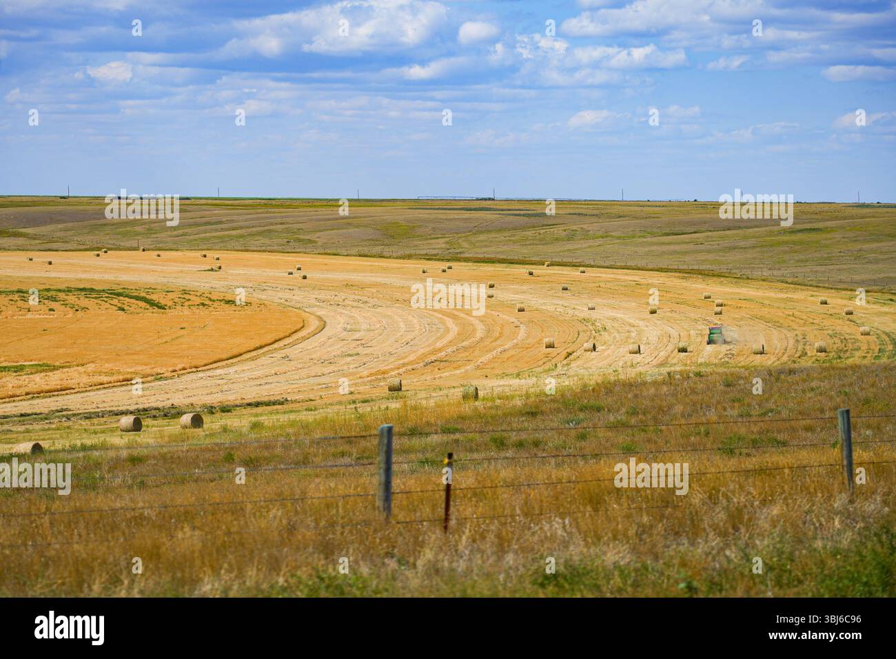 Hay bales in the Canadian Prairie of Alberta, Canada Stock Photo - Alamy