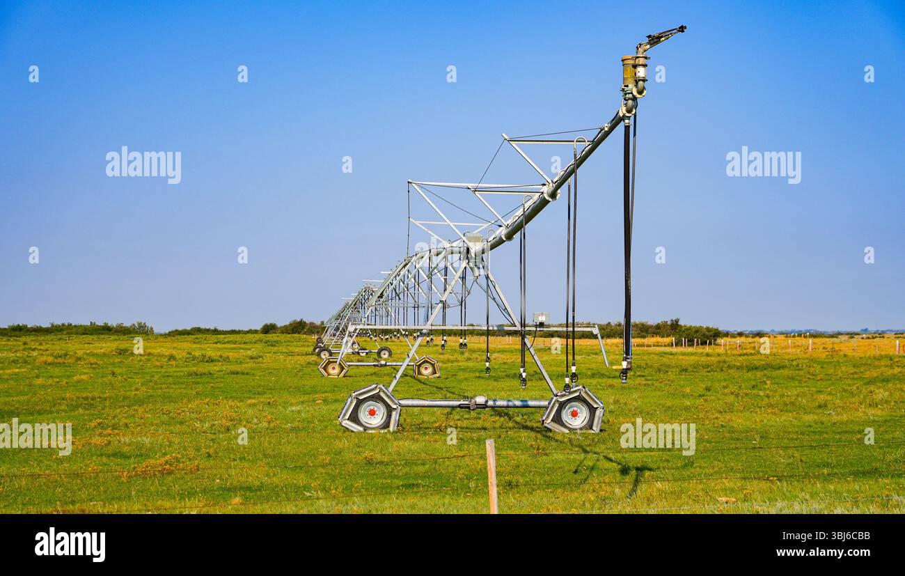 Modern center pivot irrigation system on a green farm field in Alberta ...