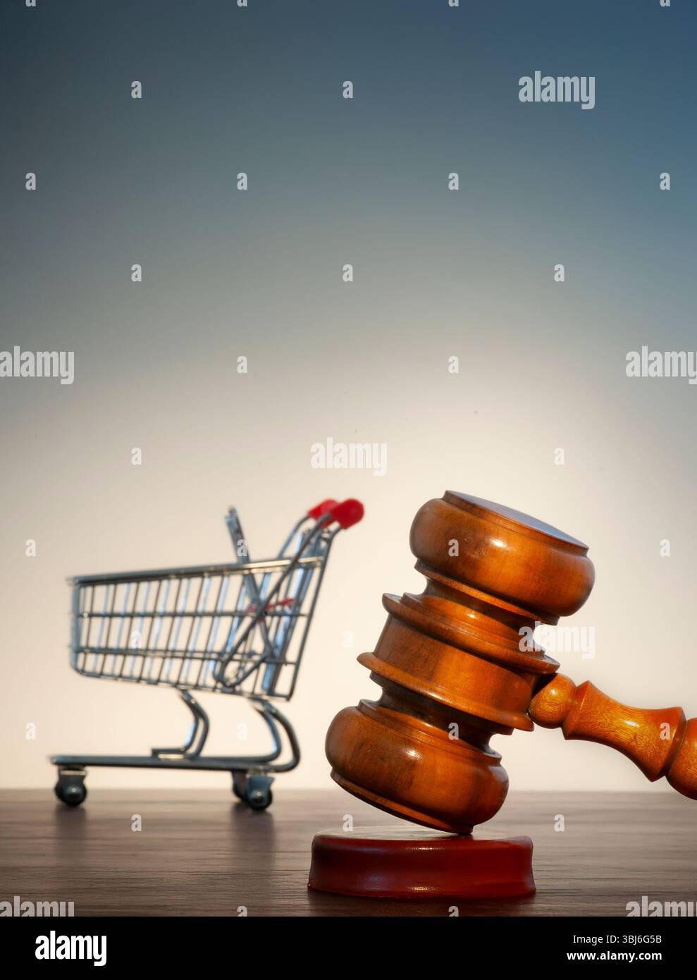 CONSUMER SHOPPING RIGHTS CONCEPT PURCHASE PROTECTION ON-LINE STORE SHOP ...