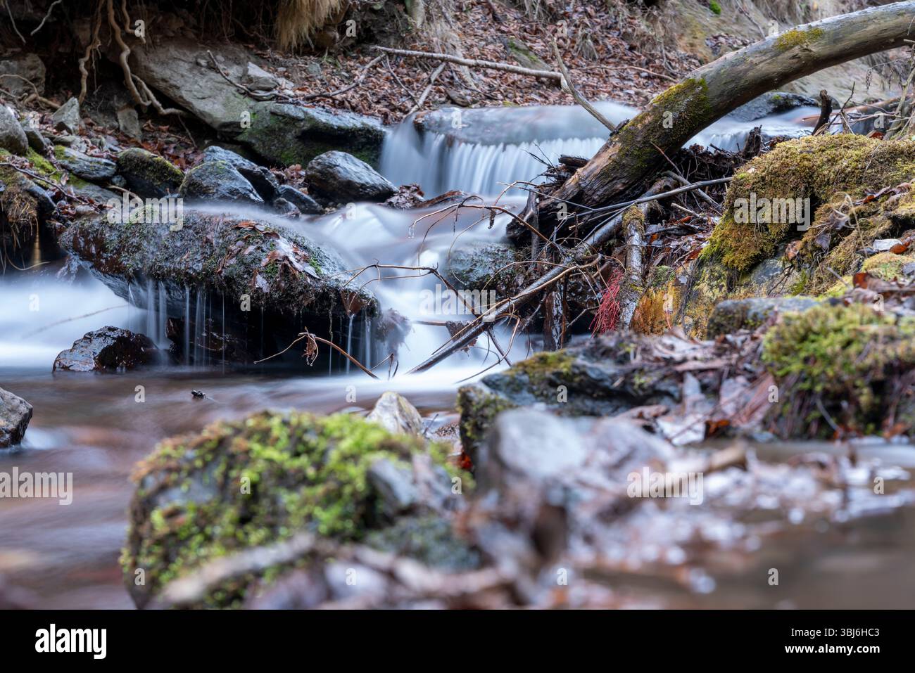 Forest stream flowing over moss covered rocks with small waterfall ...