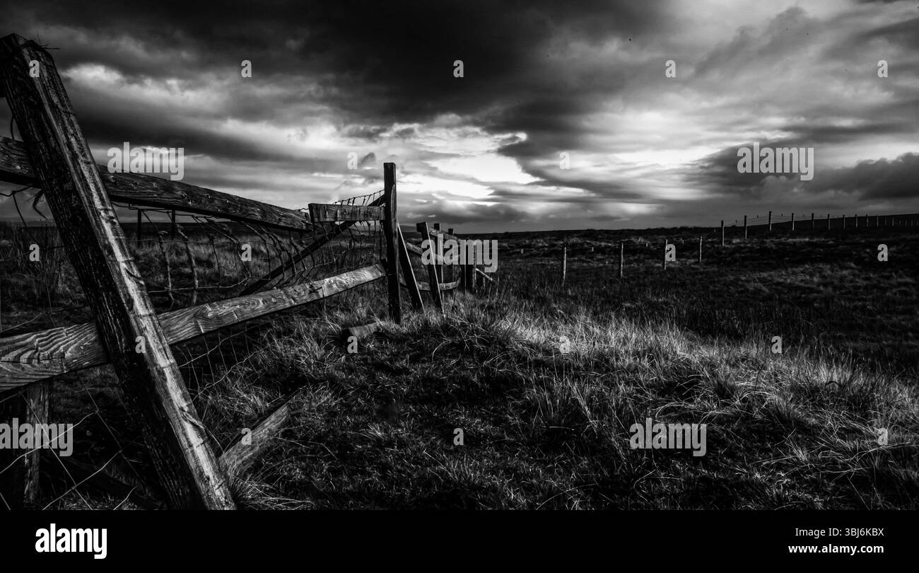 Black white moors hi-res stock photography and images - Alamy