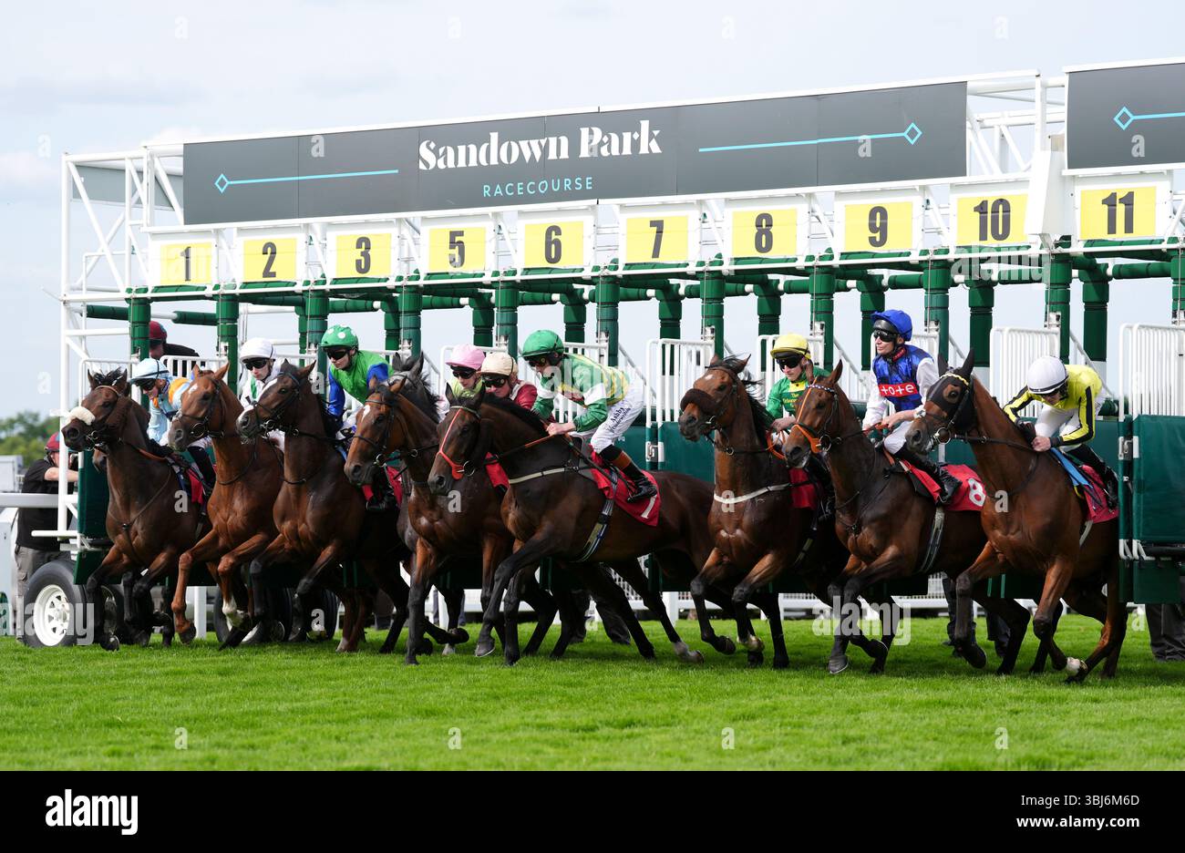 Runners and riders leave the starting gates in the Texas At Sandown ...