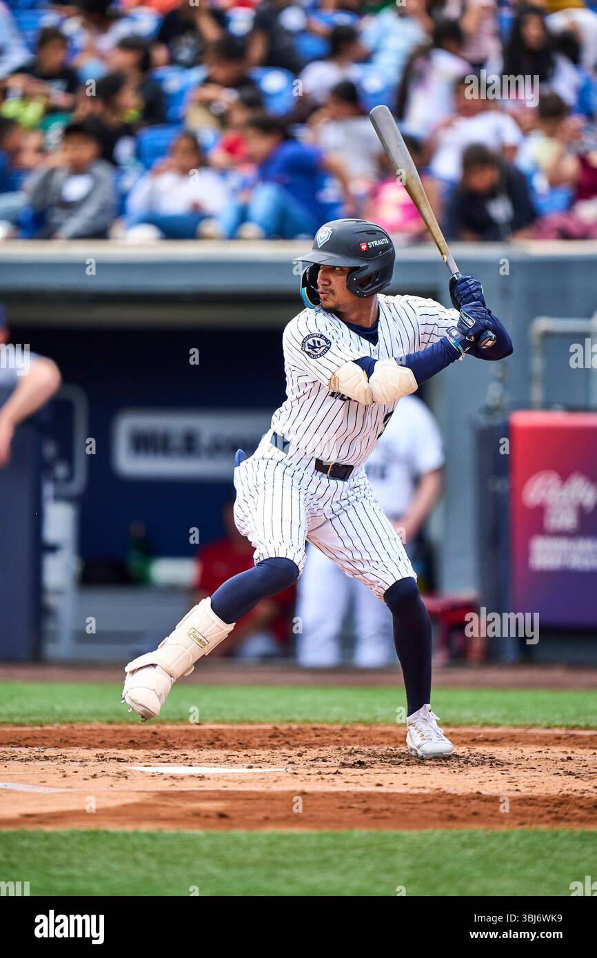 Hudson Valley Renegades outfielder Luis Durango (3) at bat against the ...