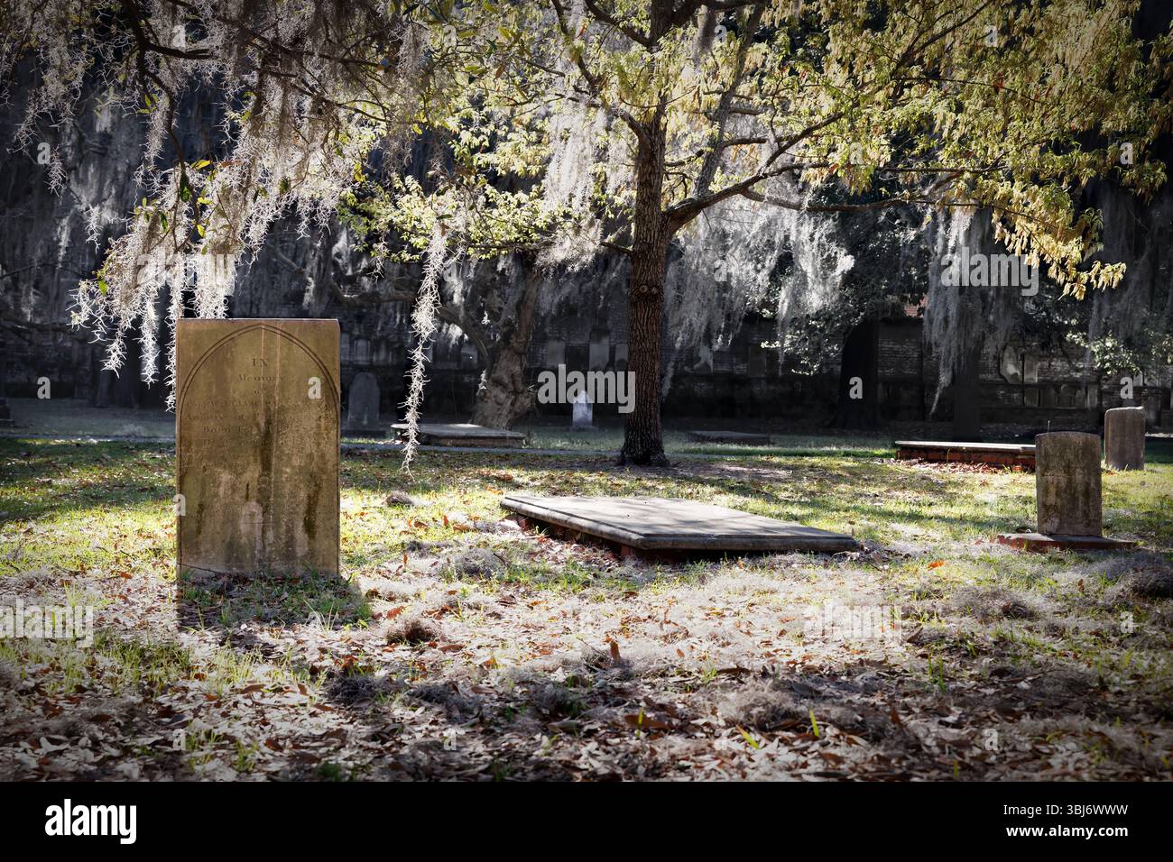 Moss covered graves at Colonial Park Cemetery. Burials stopped here in ...