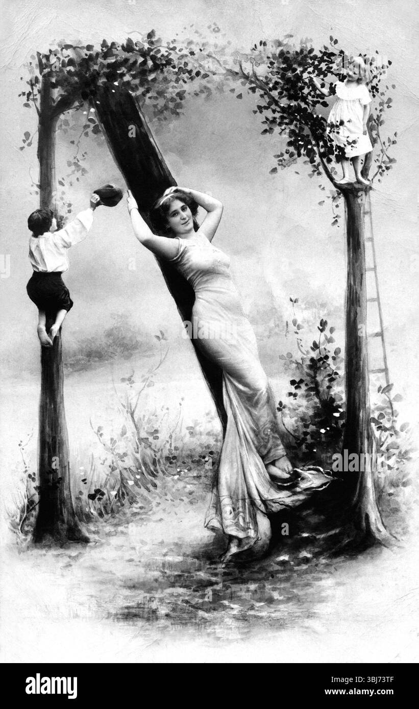 Tree joke Black and White Stock Photos & Images - Alamy