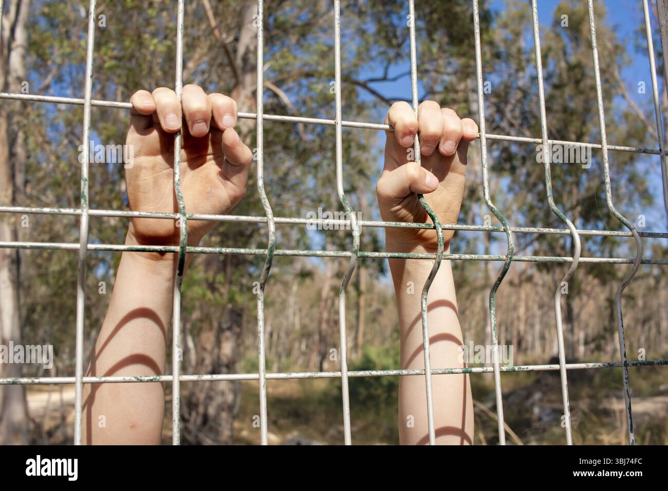 Hands behind bars, symbol of emigrants, occupied territory, border ...