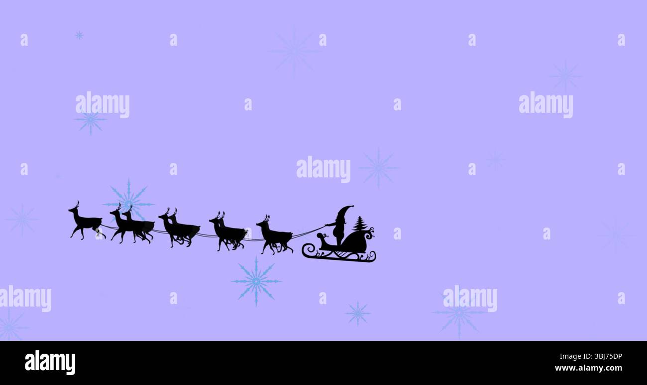 Silhouette of Santa sleigh and eight reindeer flying across lavender ...