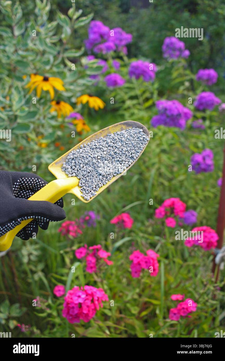 Garden seed green manure fertilizer manures compost. Hand with a shovel ...