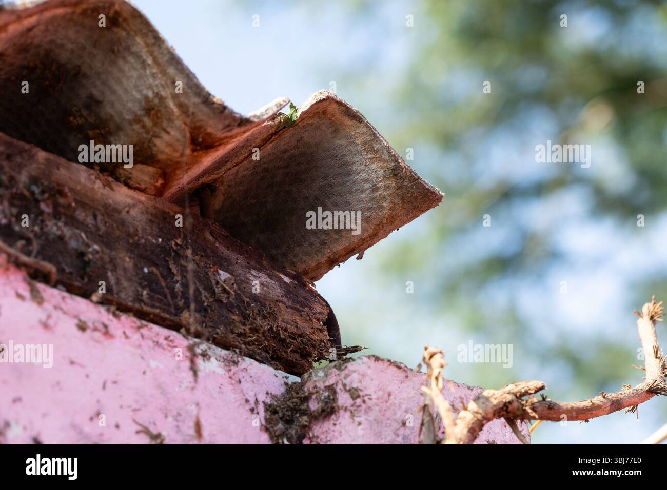 A macro of a corrugated sheet made of asbestos lying on a roof of a ...