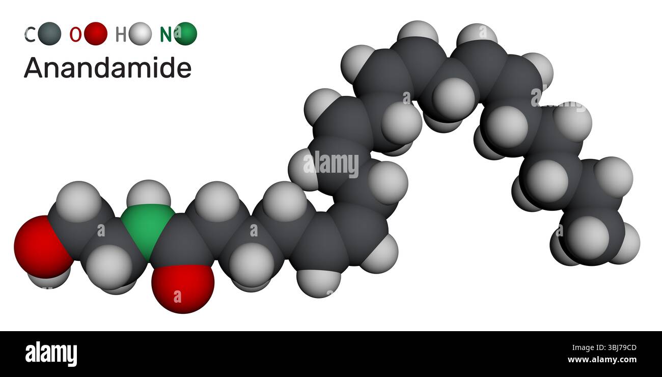 Anandamide, ANA molecule. Endocannabinoid neurotransmitter involved in ...