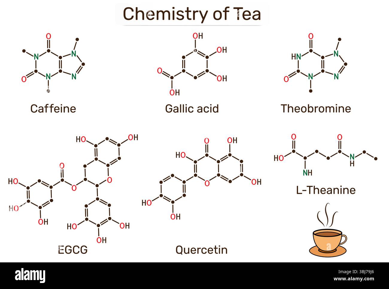 Chemistry of tea. Molecular structures of caffeine, theanine, EGCG ...