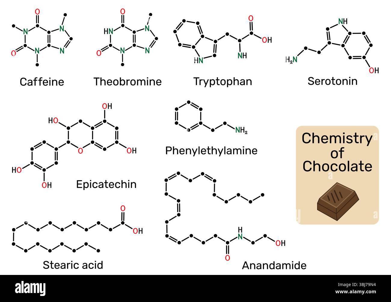 Chemistry of chocolate. Molecules of theobromine, caffeine, tryptophan ...
