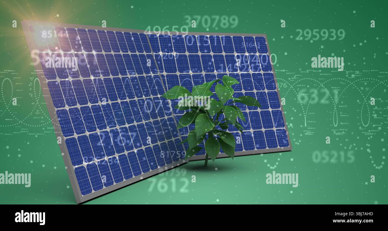Showing solar panel and plant standing on green backdrop, with data ...