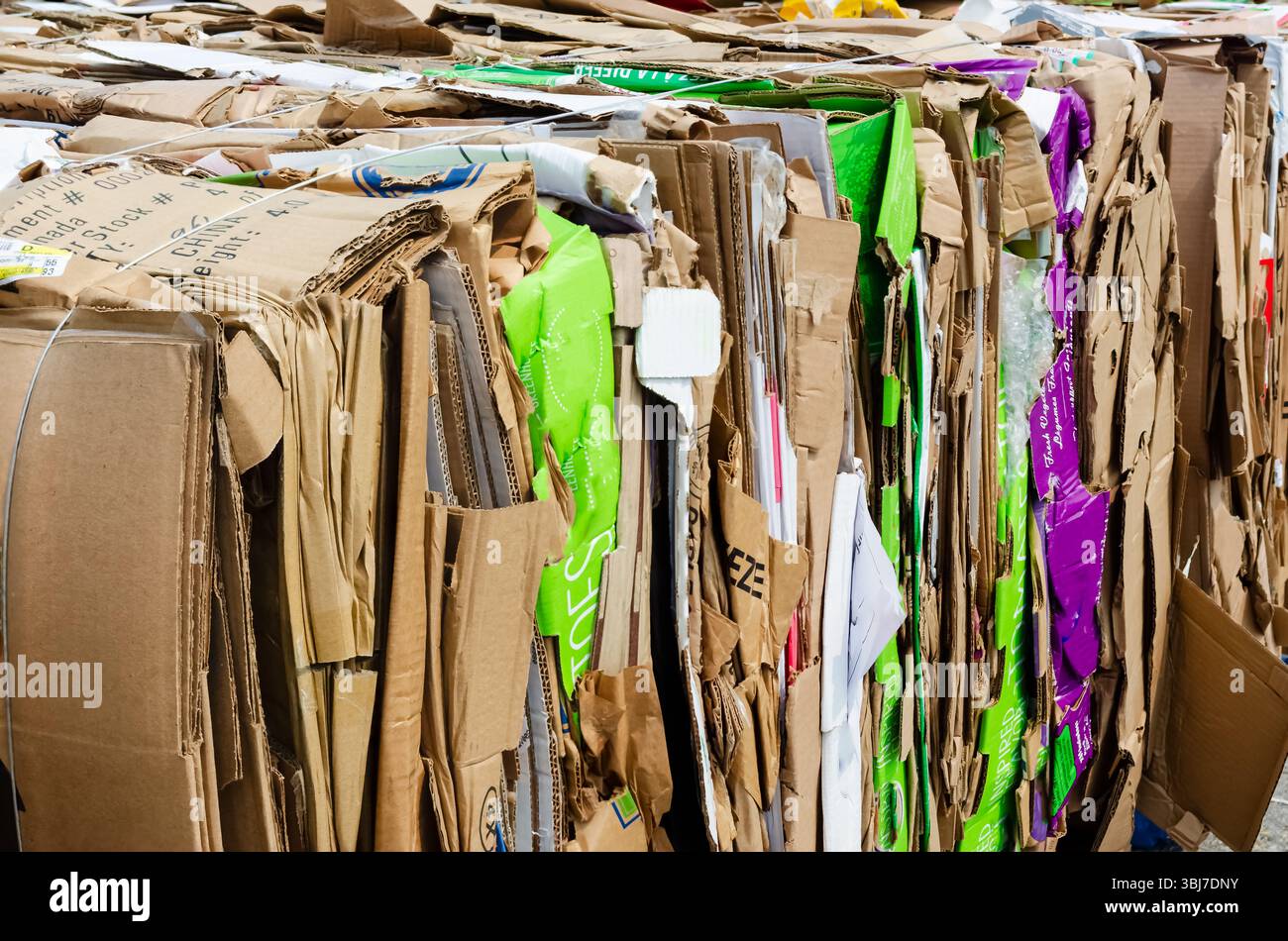 Bundles compressed cardboard ready hi-res stock photography and images ...