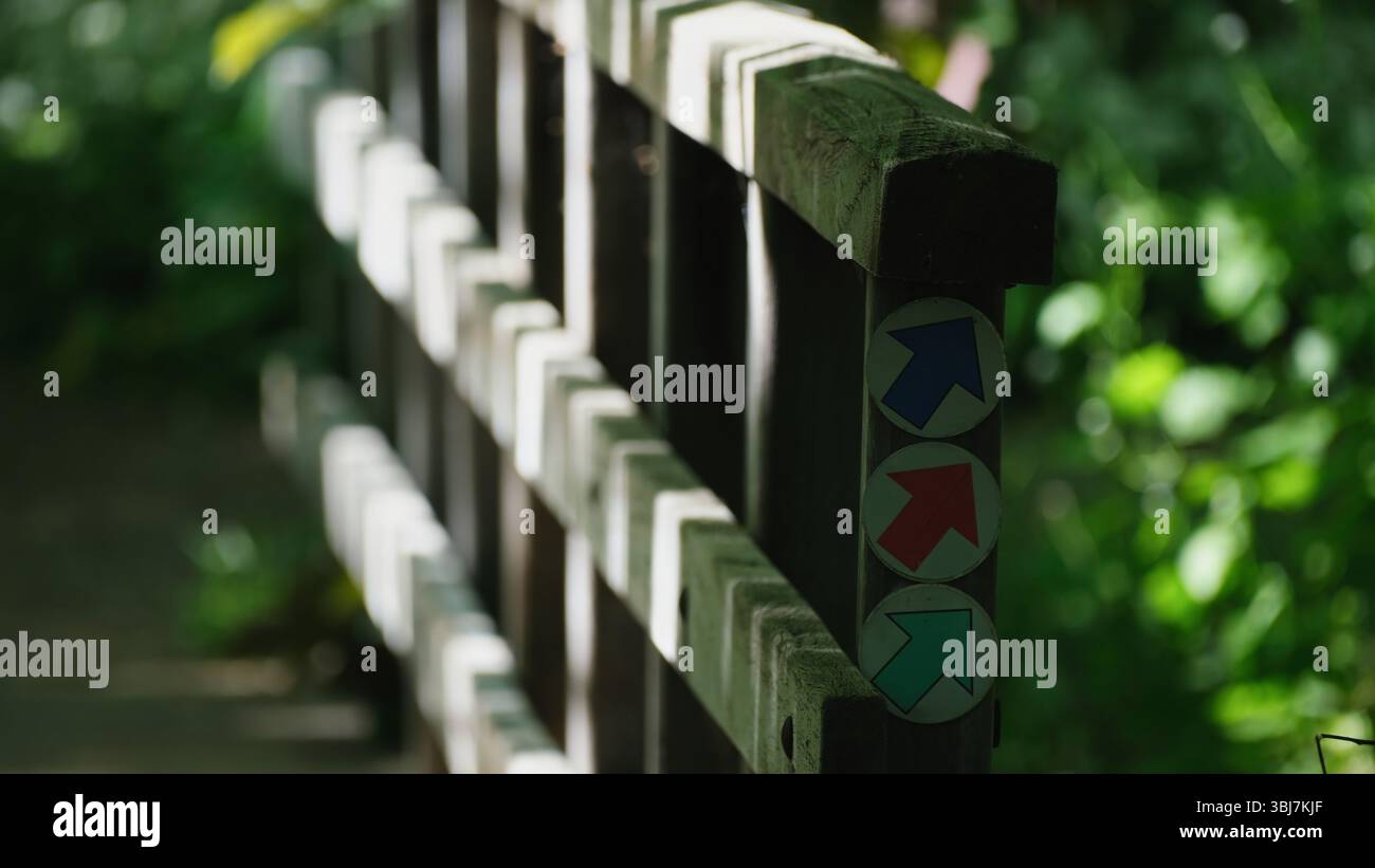 Hiking trail on forested hi-res stock photography and images - Alamy