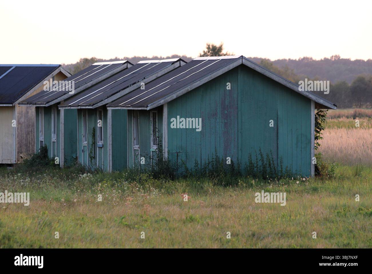 Four green wooden cabins with pitched roofs stand in a row on overgrown ...