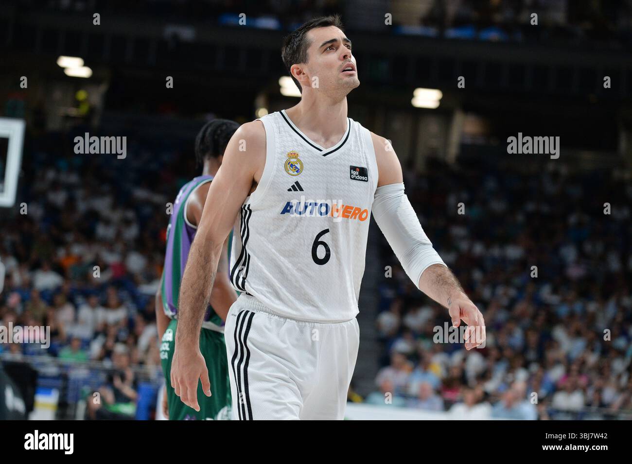 Madrid, Spain. 14th Jan, 2012. Alberto Abalde of Real Madrid during ...