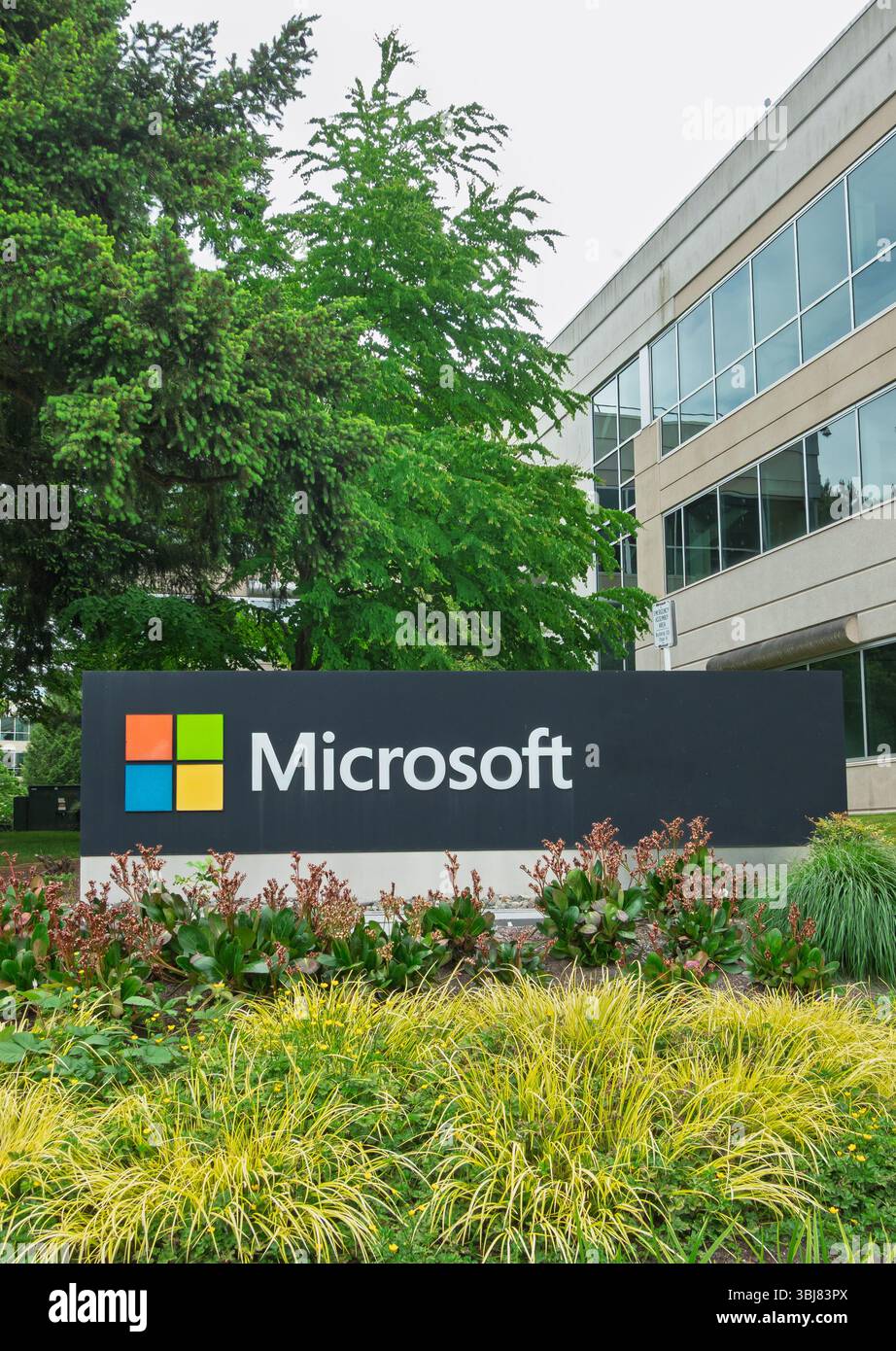 Microsoft headquarters redmond hi-res stock photography and images - Alamy