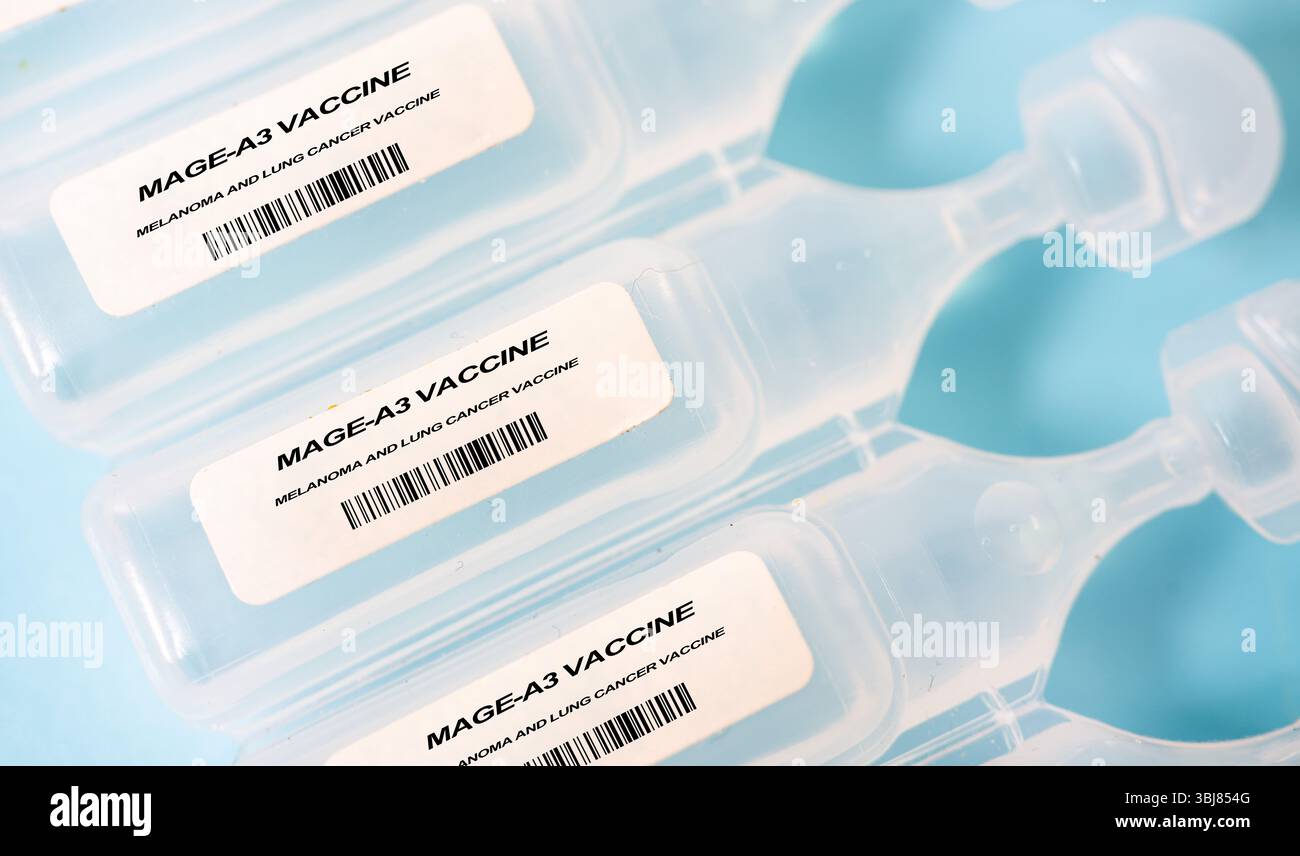 MAGE-A3 vaccine. A recombinant protein vaccine targeting the MAGE-A3 ...