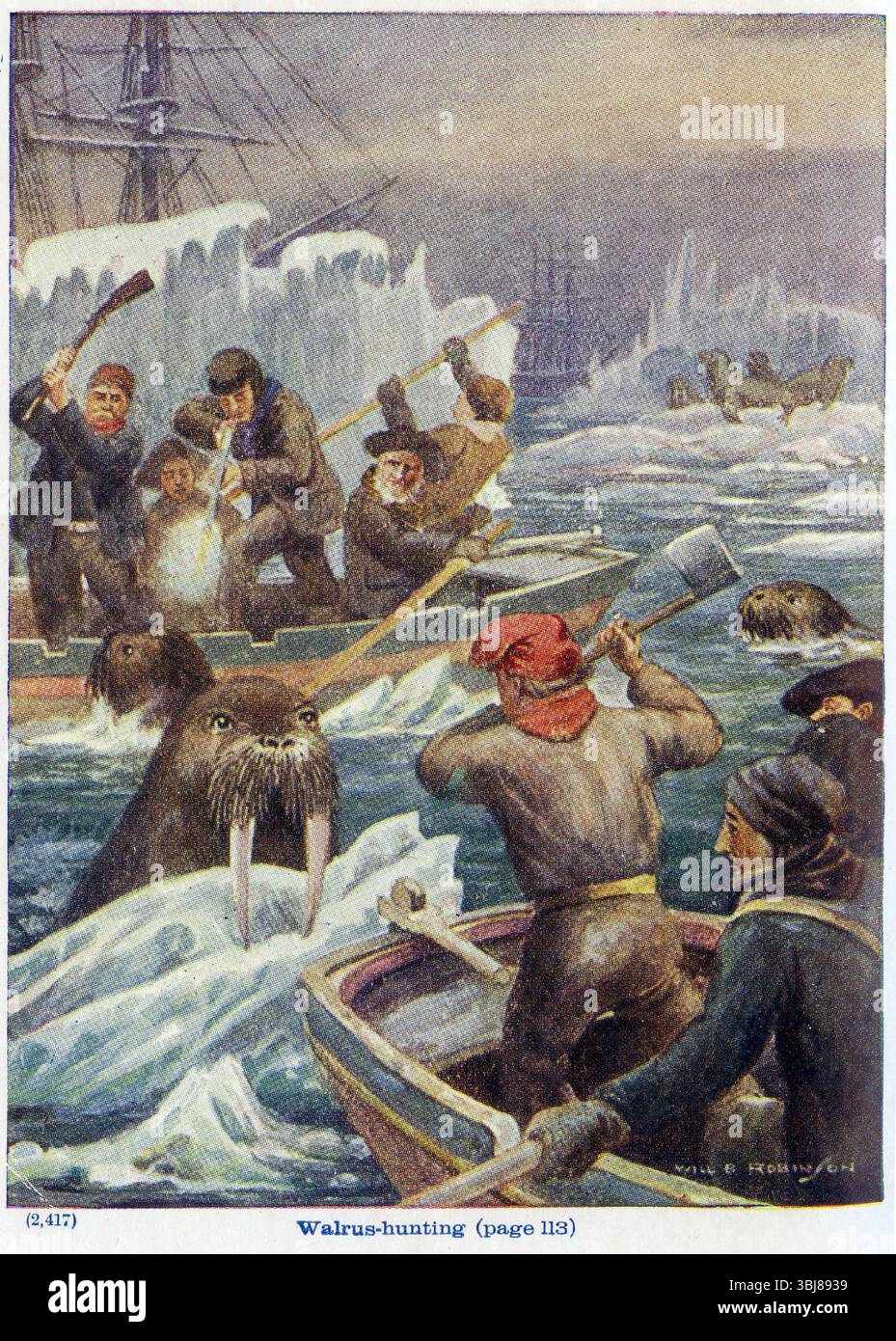 sailors hunting walruses on an Arctic expedition, published circa 1934 ...