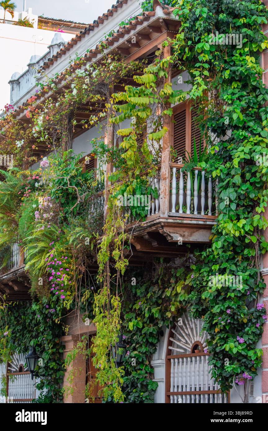 Vibrant colonial architecture in hi-res stock photography and images ...
