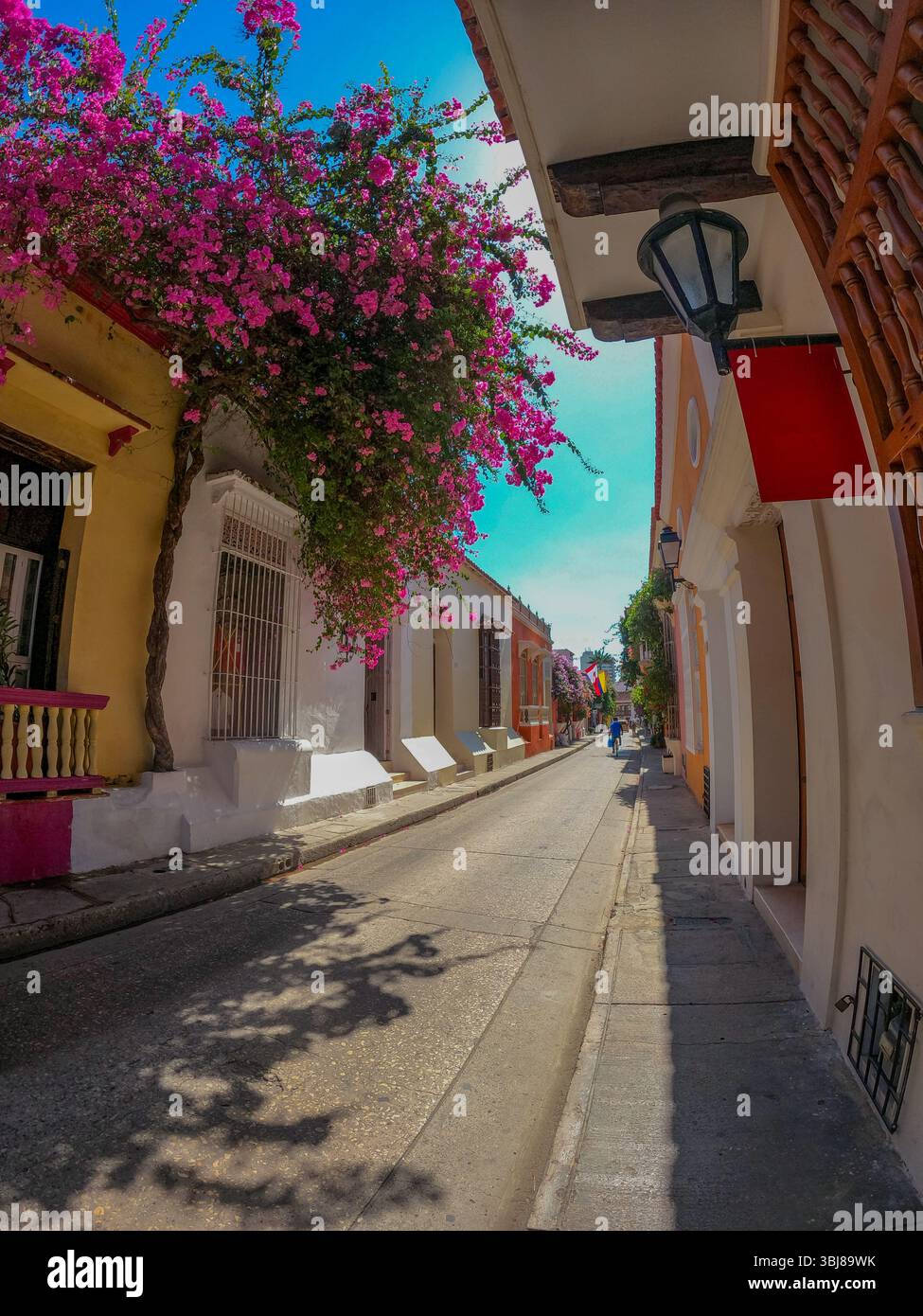 A picturesque street scene in Cartagena, Colombia, lined with vibrant ...