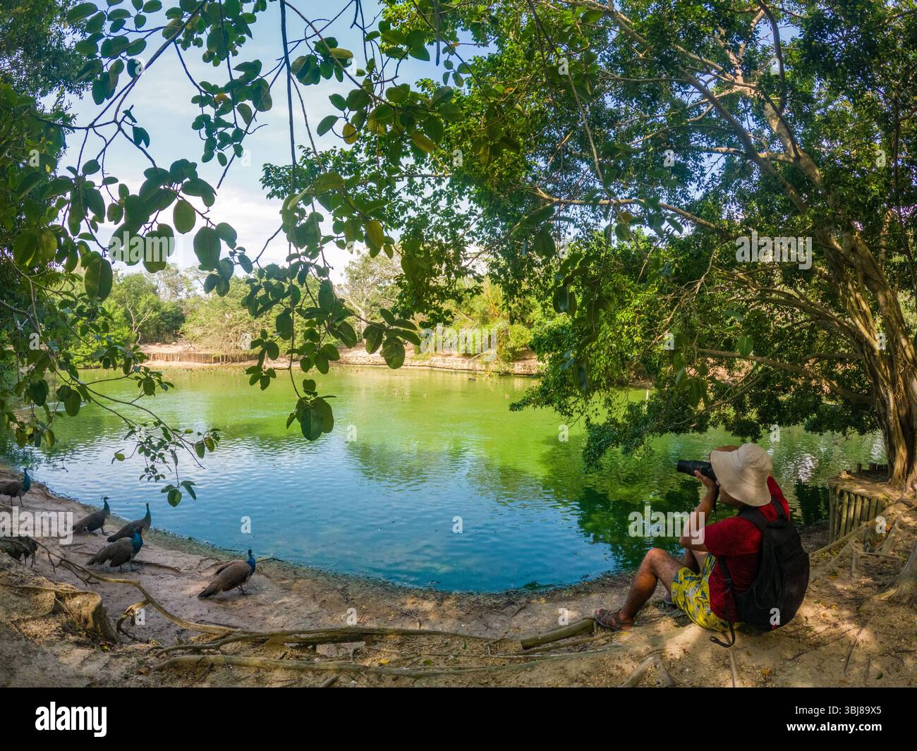 Colombia national aviary hi-res stock photography and images - Alamy