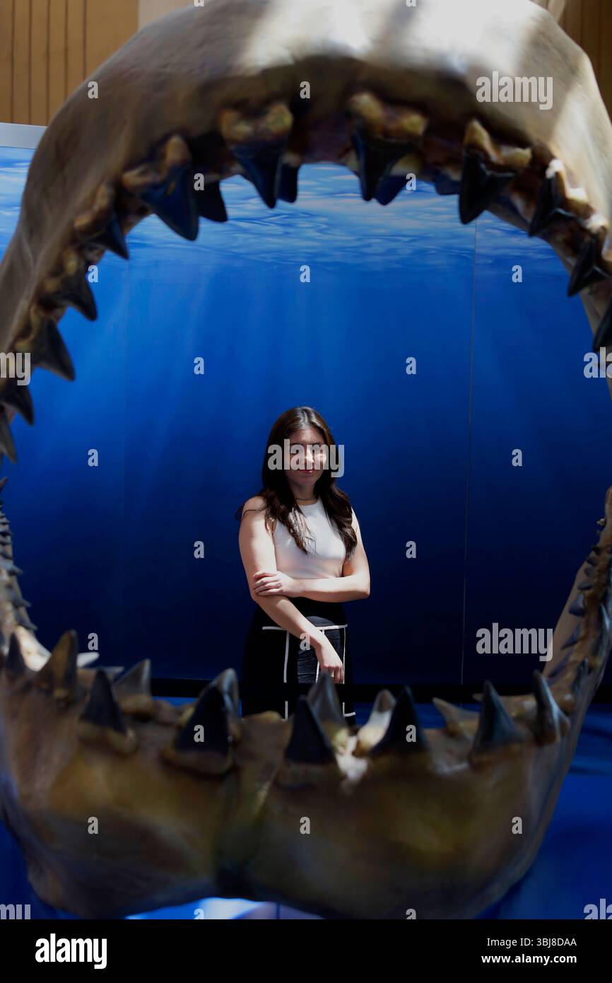 Miriam Gastelum Aispuro, Manager of Public Spaces and Culture at the Coppel Foundation, attends ...