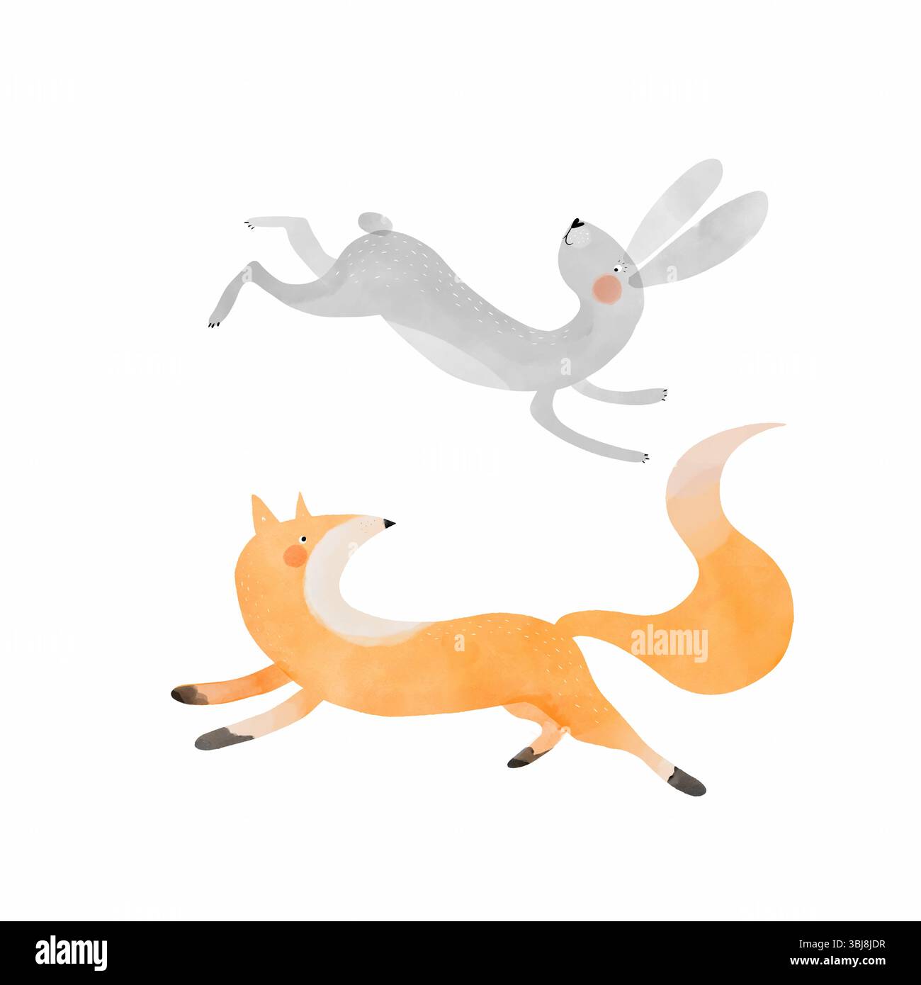 Cute Gray Hare Running Away From A Fox. Funny Gray Bunny and Ginger Fox ...