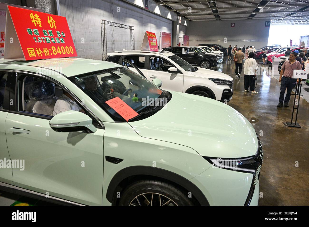Citizens are choosing cars at the 2025 New Energy and Intelligent ...