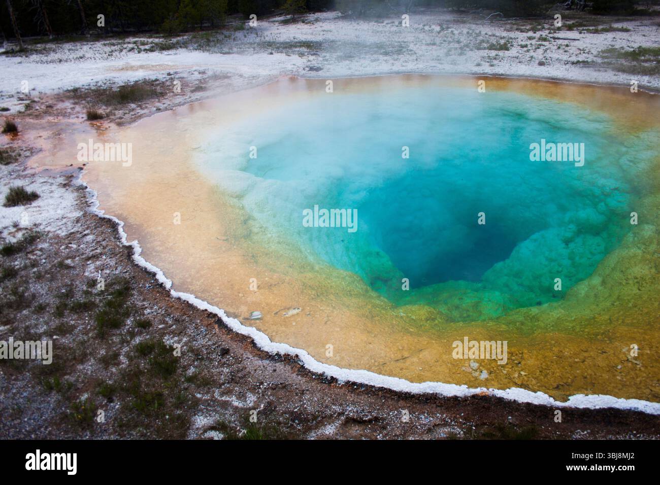 Morning Glory Pool thermal spring in Yellowstone National Park, Wyoming ...