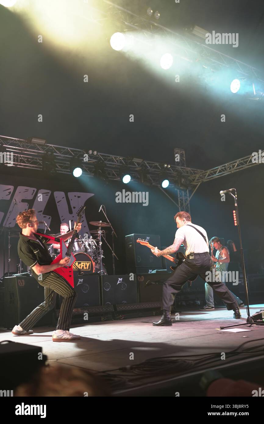 EDITORIAL USE ONLY McFly perform on the Avalanche Stage during Download ...
