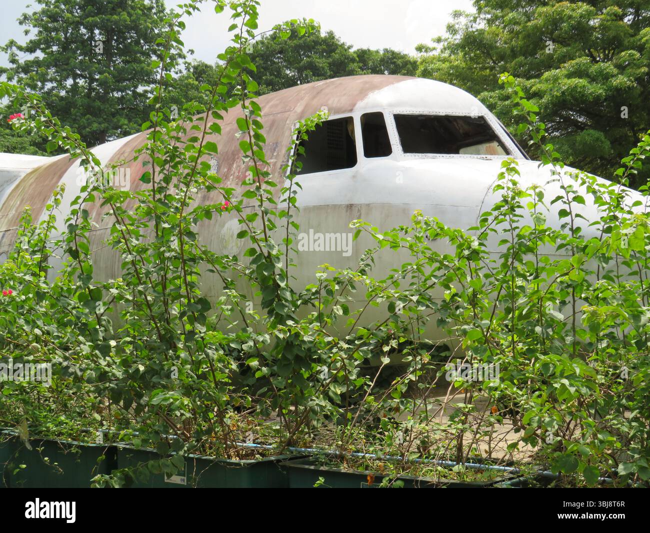 An abandoned and rusting plane covered in vegetation in Yangon, Myanmar ...