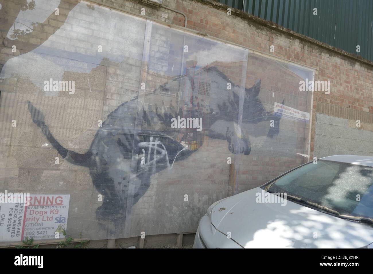 London, England 1st June 2025 Banksy Rhino Art Mural on Westmoor Street ...