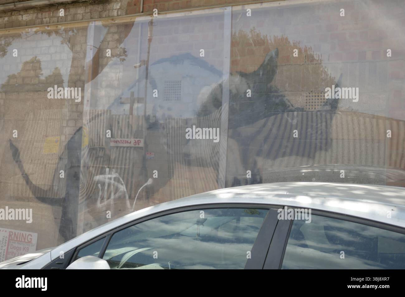 London, England 1st June 2025 Banksy Rhino Art Mural on Westmoor Street ...